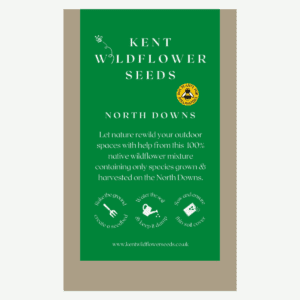 Kent Wildflower Seeds – Native, British Grown Wildflowers