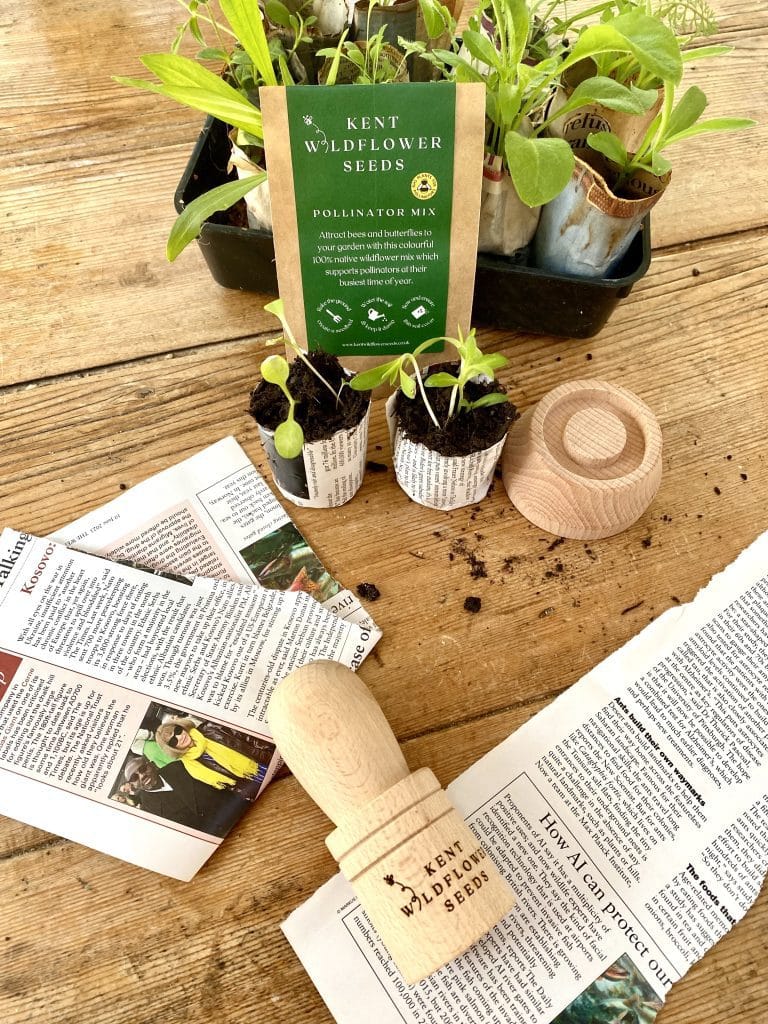 Wooden Seedling Pot Maker With Free Wildflower Seeds - Kent Wildflower ...