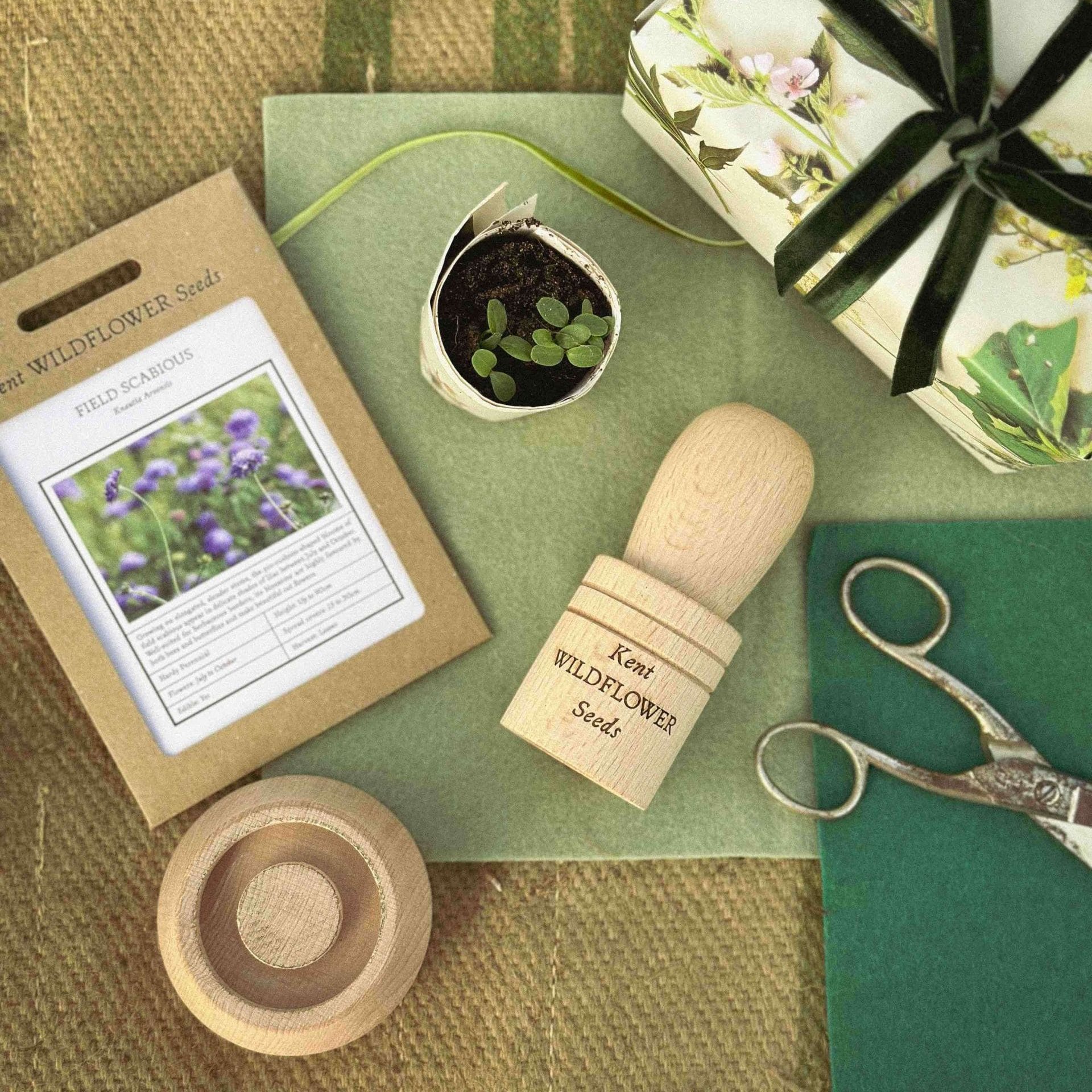 Wooden Seedling Pot Maker With Free Cornflower Seeds - Kent Wildflower ...