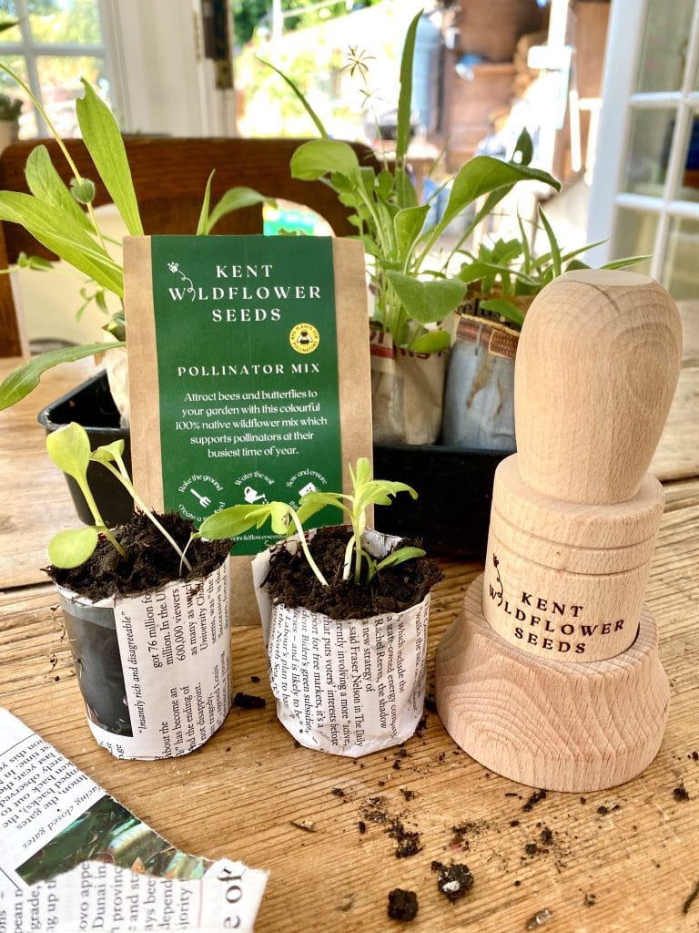 Wooden Seedling Pot Maker With Free Wildflower Seeds - Kent Wildflower ...