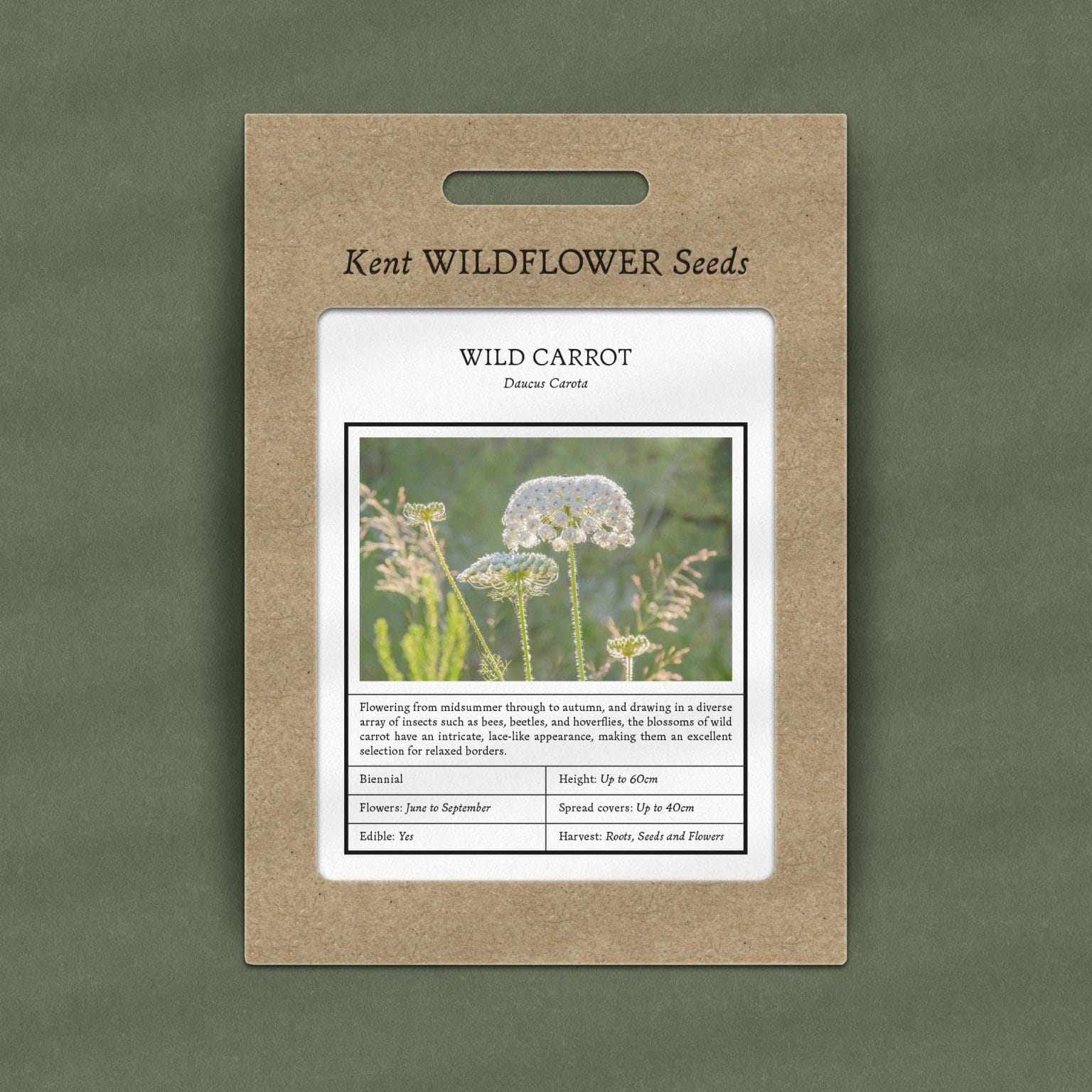 Buy Wildflower Seeds & Seed Mixtures Online - Kent Wildflower Seeds