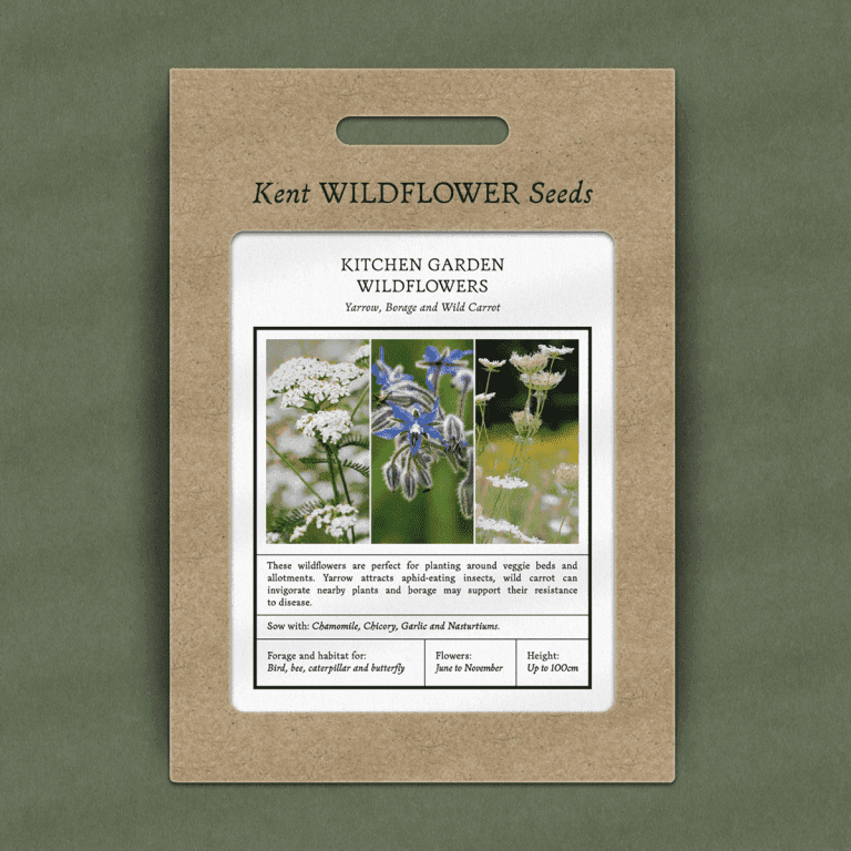 Buy Native Wildflower Seeds & Seed Mixtures Online - Kent Wildflower Seeds