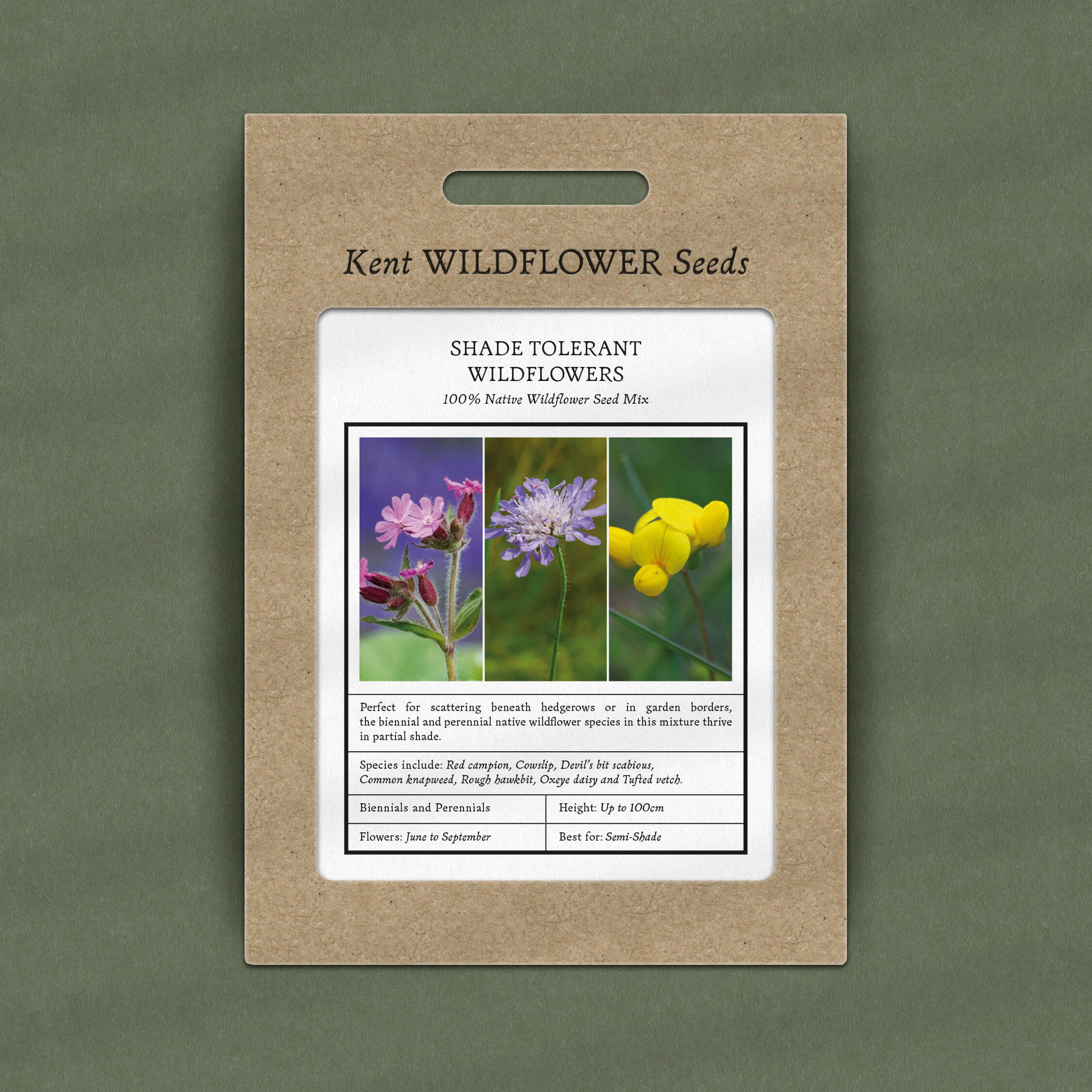 Shade Wildflowers 5 Native Plants For Shade – Gardeninacity