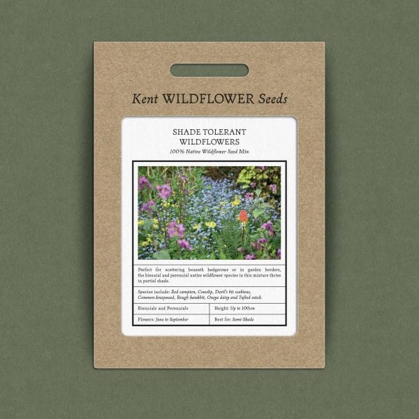 Shade Tolerant Wildflower Mix - Kent Wildflower Seeds